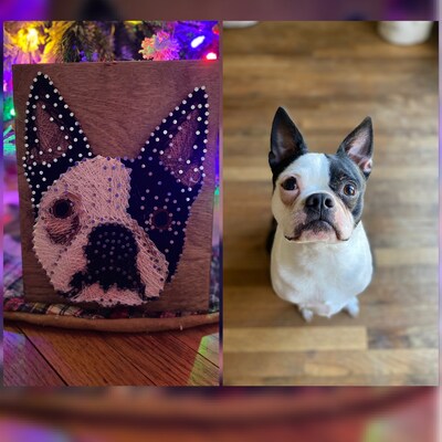 White Shark String Art Wall Hanging Shark Decor Handmade - Etsy