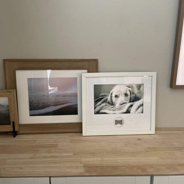 Coin Frame | DIY Frame Kit for Coins | Coin Display | Coin Holder ...