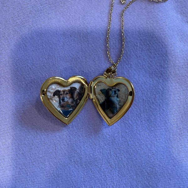 Vintage Combination Heart Necklace With Photo, Photo Locket Necklace ...