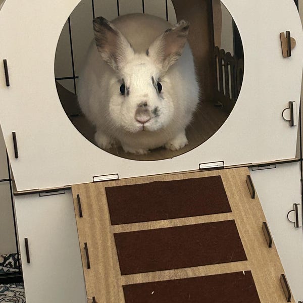 Wooden Rabbit House, Two Storey Rabbit Castle, Modern Rabbit Furniture ...