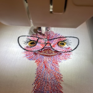 Funny Gnome and Flowers Machine Embroidery Design, 4 Sizes - Etsy