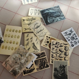 Miniature Occult Book Collection Digital Download Set of 5 & Bonus ...