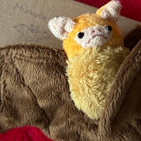 Elephant Shrew Stuffed Toy Native African Animal Shrew Plush Sengi ...