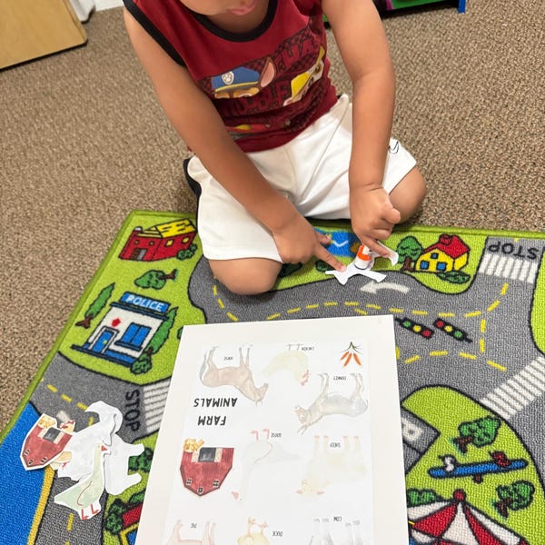 Phlebotomy Order of Draw Flashcards - Etsy