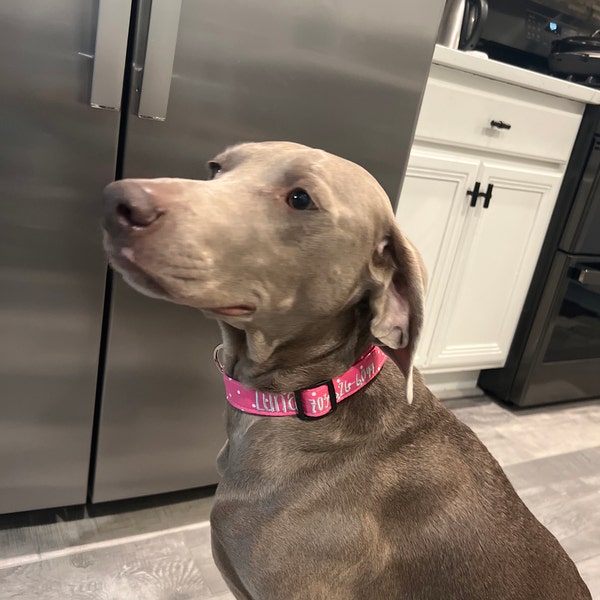 Fall Collar, Embroidered Dog Collar, Personalized Dog Collar, Geometric ...