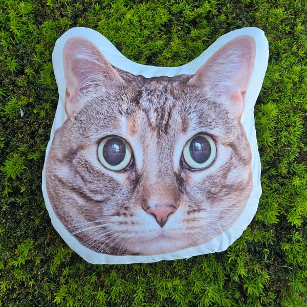 Personalized Human Shape Pillow, Custom Family Pillow, Love Pillow ...