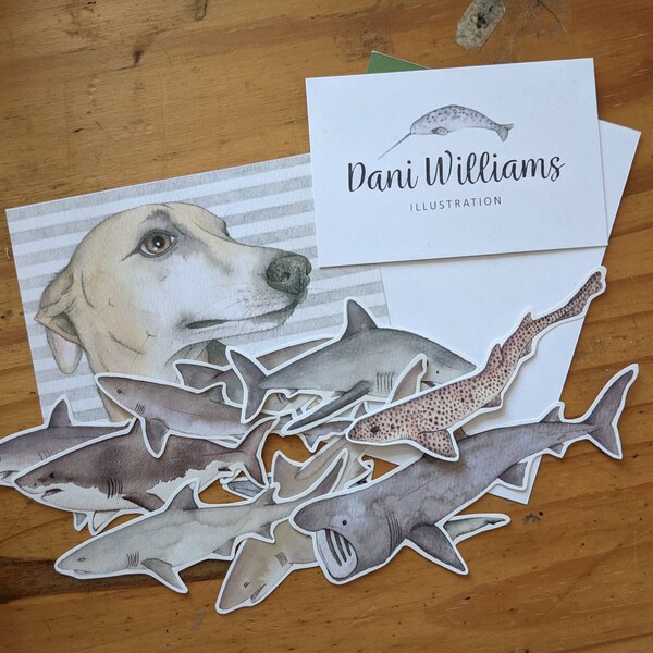 Shark Stickers - Animal Sticker Pack - Etsy