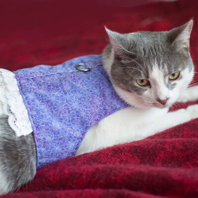 Cozy Cat Harness: Digital Sewing Pattern - Etsy