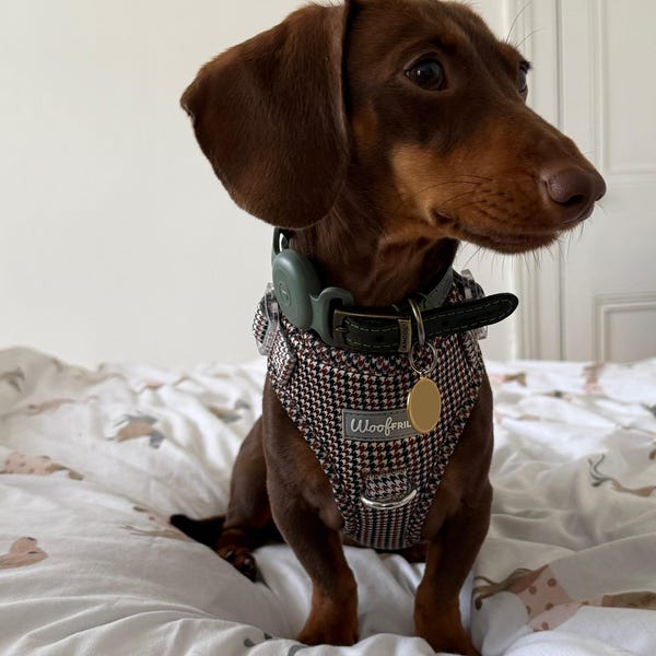 Plaid Dog Harness Bundle of Your Choice, Classic Dog Harness and Leash ...