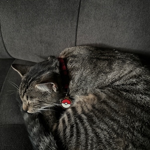 Binx is My Boo SVG - Etsy