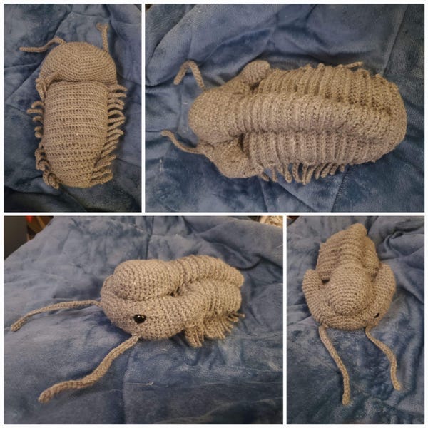 Trilobite Crochet Pattern, Amigurumi Trilobite PDF File in English - Etsy