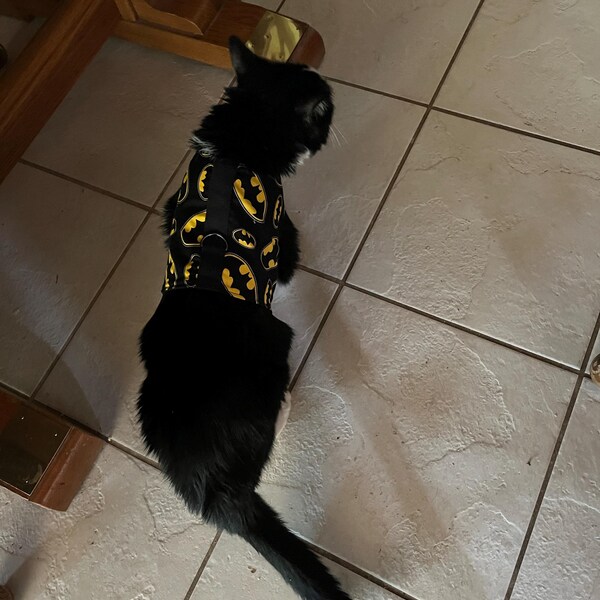 University of Michigan Dog Coat - Etsy