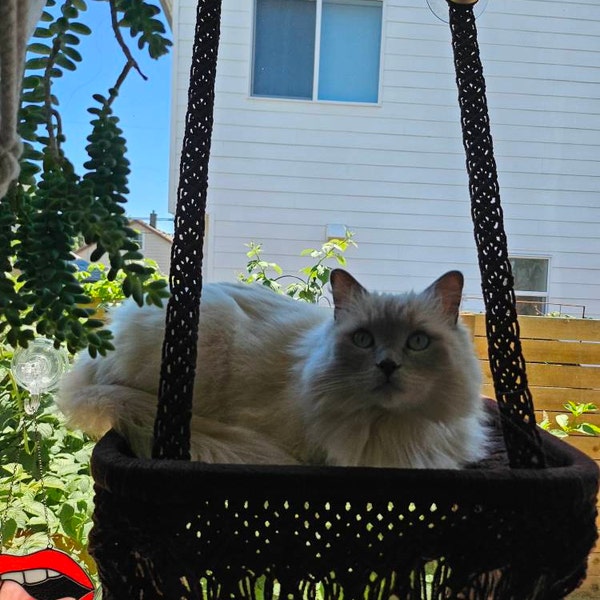 Large Macrame Plant Hanger With Fringe Indoor Plant Hanger Large ...