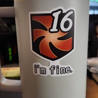 FFXIV Vuln Stack I'm Fine Double Sided Final Fantasy 14 Mug - Etsy