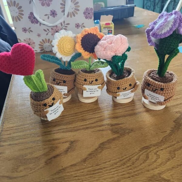 Handmade Crochet Pickle With Chill Pills-emotional Support-crochet ...