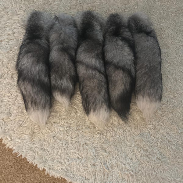Coyote Fur Tails - Set of Five - Etsy