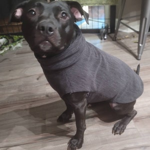 Dog Fleece Polo PDF Sewing Pattern Sizes XXS to 3XL 8 Sizes Instant ...