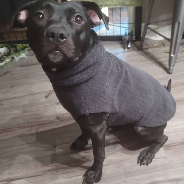 Dog Fleece Polo PDF Sewing Pattern Sizes XXS to 3XL (8 Sizes) Instant ...