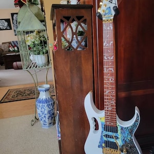 Ibanez Jem Jr. Full Set Spin Illusion Custom Pickguard Graphic ...