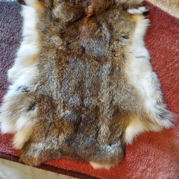 Brown Rabbit Hide - One Jumbo - Natural Rabbit Fur - Lot No. 230125-I ...