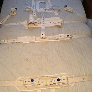15 Point Segufix Bed Restraint Kit Head Shoulder Waist Crotch Wrist Arm ...