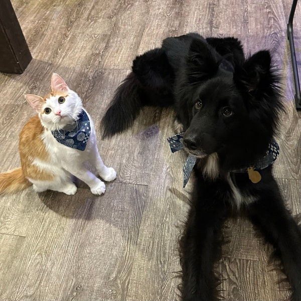 Chambray Pumpkin Bandana // Harvest, Pumpkins // Khaki, Orange ...