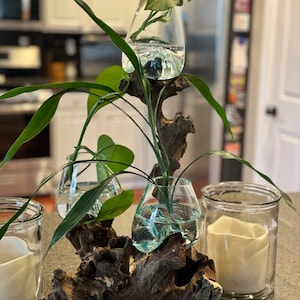 Molten Glass & Gamal Root Patterned Flower Vase With LED Light - Etsy