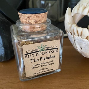 Master Root Oil A Hoodoo Traditional Oil for Mastery Over - Etsy