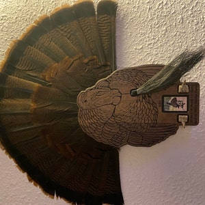 Personalized Double Wide Pheasant Tail Mount Plaque, Tail Feather ...