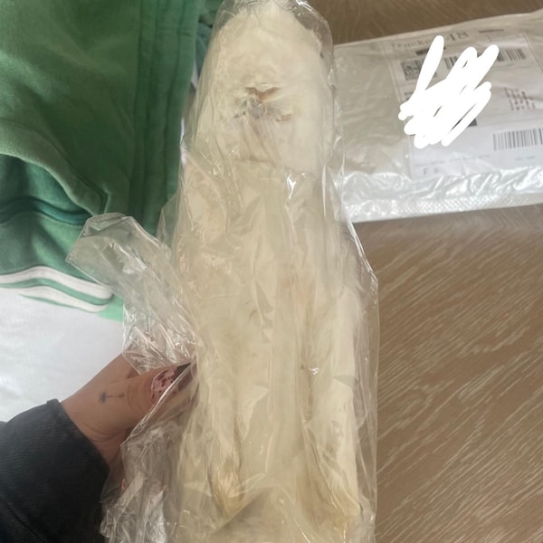 Taxidermy Rabbit,real Taxidermy Rabbit,oddity Home Decor,cute Rabbit ...