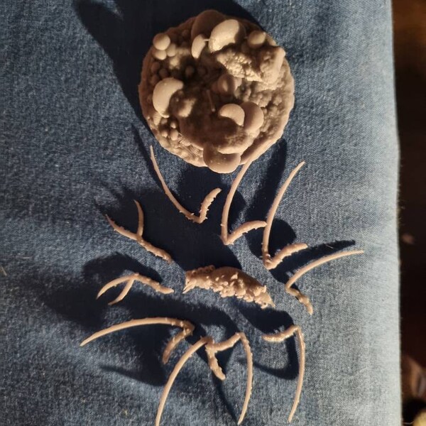 Bonemancer Necromancer 28mm and 32mm Scale Premium 3D Printed Fantasy ...