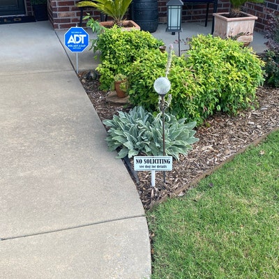 No Soliciting See Dog for Details No Soliciting Sign, Beware of Dog ...