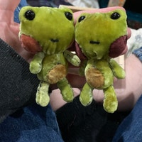 Frog PDF Sewing Pattern Video Tutorial DIY Stuffed Toy Pattern DIY ...