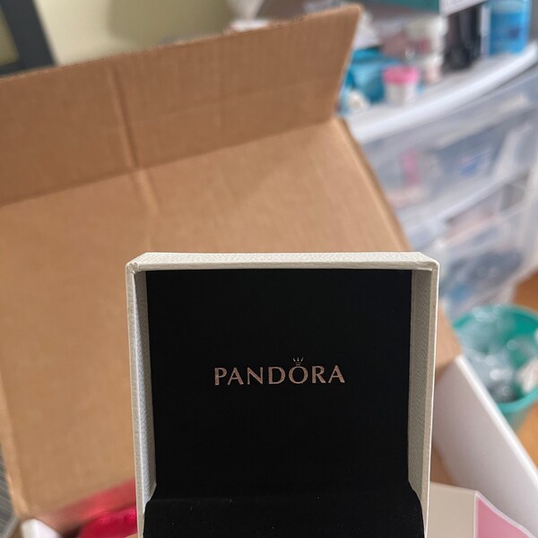 Pandora Small Gift Bag - 16x16cm, Jewellery Gift Wrapping, Gift ...