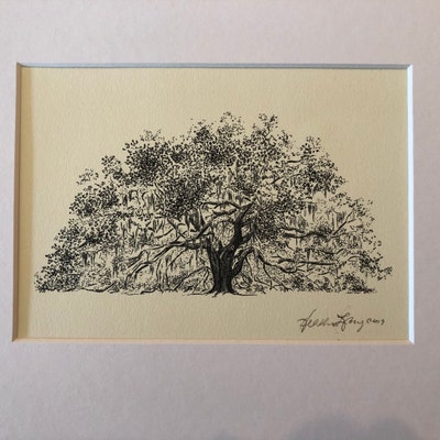 Tree Art Print Majestic Oak Savannah, Georgia Line Drawing on Natural ...