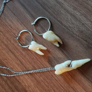 Gothic Teeth Earrings, Dangling Human Tooth, Handmade Molars, Oddities ...