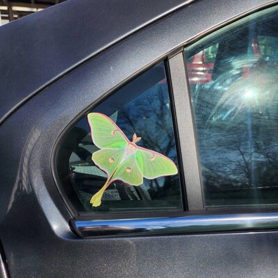 ONE Large Monarch Butterfly Migration Stickers Wall Art Decor for ...