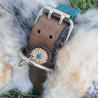 Leather Dog Collar Angel Wings and Cross Dog Collar 2 - Etsy Canada