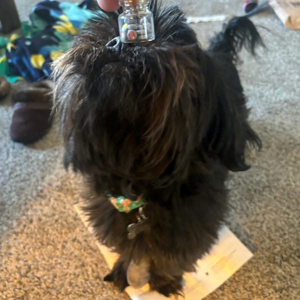 Runescape Inspired Max Stack of Gold Coins/gp + Rare Figurine, OSRS ...