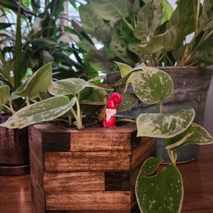 Dino Nugget Keychain Polymer Clay Food Chicken Nugget Dinosaur T-rex ...