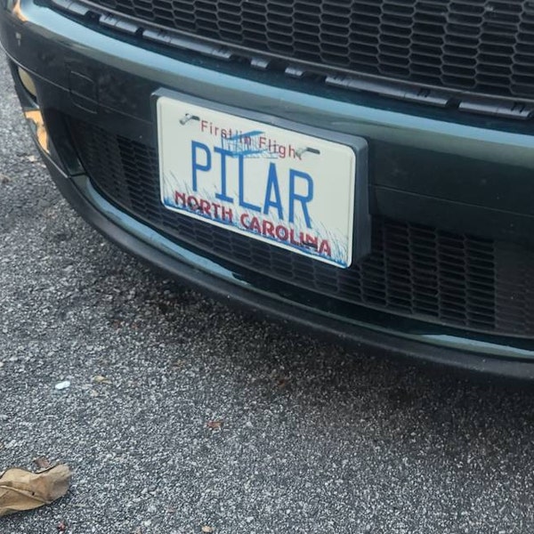 We the People Constitution Bald Eagle and American Flag 6x12 License ...