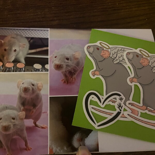 Soft Pretzel Snakes, Ball Python, Sand Boa, Vinyl Stickers - Etsy