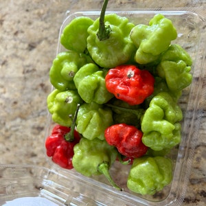 Aji Cachucha, Cachucha Pepper, Sweet Pepper, Sweet Aji. Pintón Brand ...