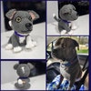 Staffordshire Bull Terrier Dog Amigurumi Crochet Pattern - Etsy