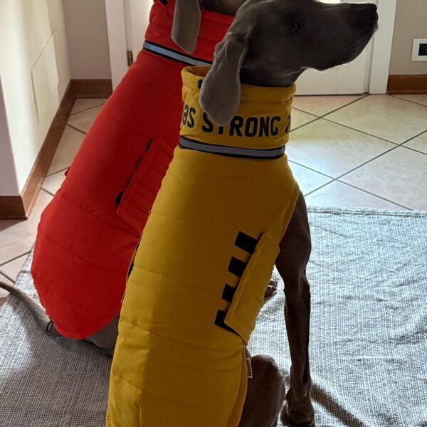 Comfortable Full Body Dog Suit, Overall for Dogs, Waterproof ...