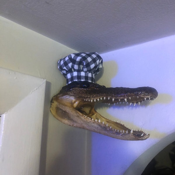 Mini Chef's Hat - Traditional White Fabric - Pastry Chef Fascinator - Etsy