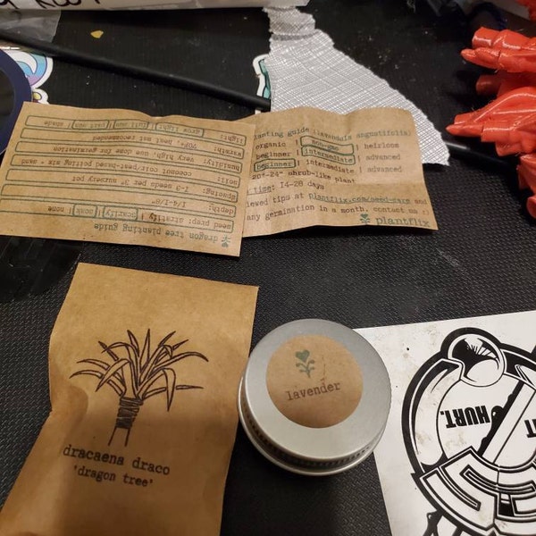 Dracaena Draco 'dragon Tree' Seeds exotic Tropical Foliage Plant Seeds ...