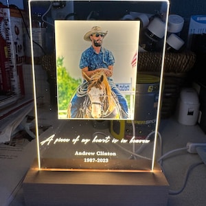 Palm Tree Scenic Personalized Custom License Vanity Plate Free Engraved ...