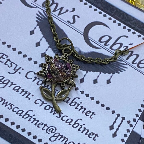 Good Luck Spell Necklace/ Preserved Good Luck Necklace/ Herbal Spell ...