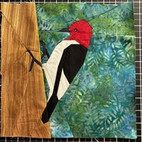 Robin Paper Piecing Pattern - Etsy Canada